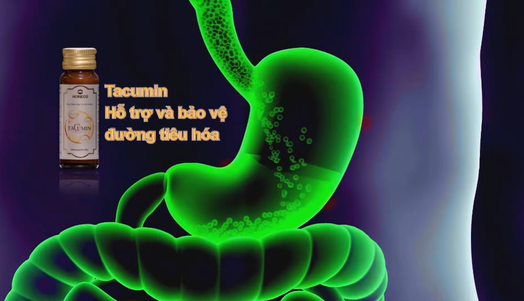 Quy trình sản xuất Tacumin
