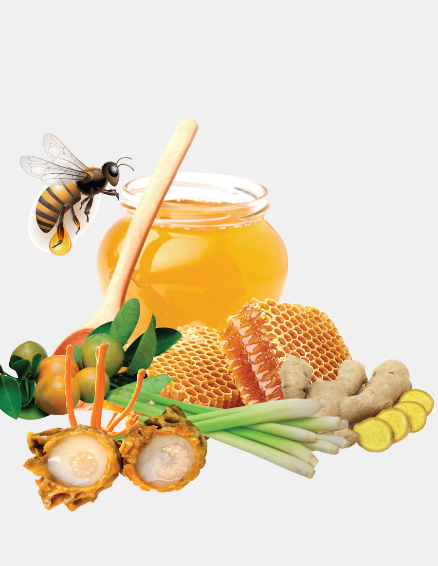 Mật ong thảo dược Honeco